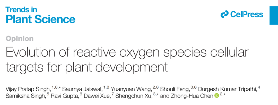 重要科研论文（11）｜湘湖实验室在《Trends in Plant Science》发表植物活性氧靶细胞进化机制观点文章